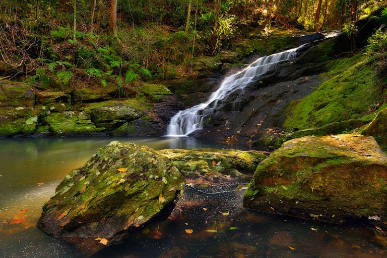 Sunshine Coast launches Luxe Trekking rainforest experiences - AccomNews