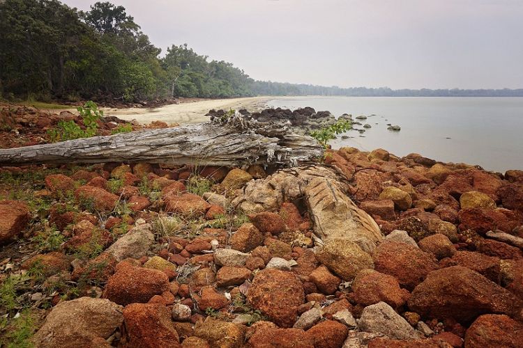 Tropical paradise promises golden returns - AccomNews