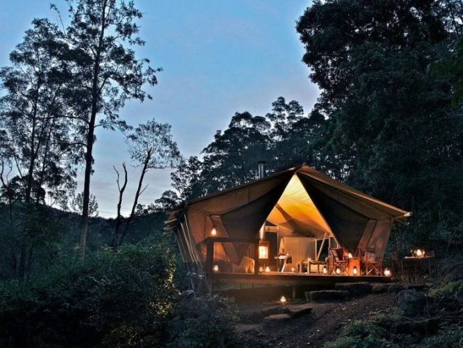 Luxury camping and bookings windfall - AccomNews