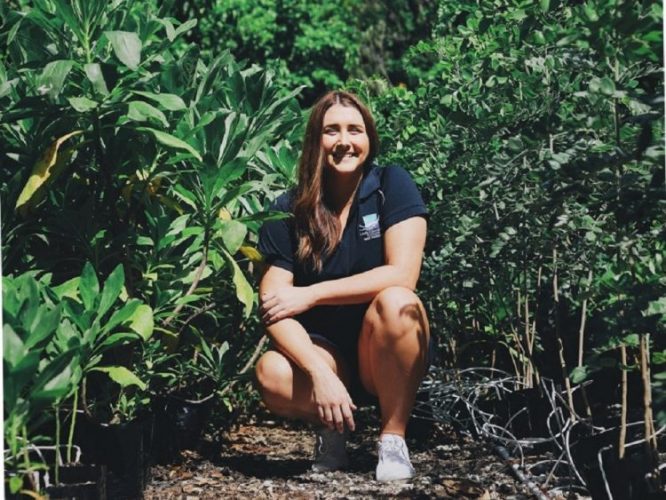 95 percent occupancy for Loggerhead Turtle paradise - AccomNews