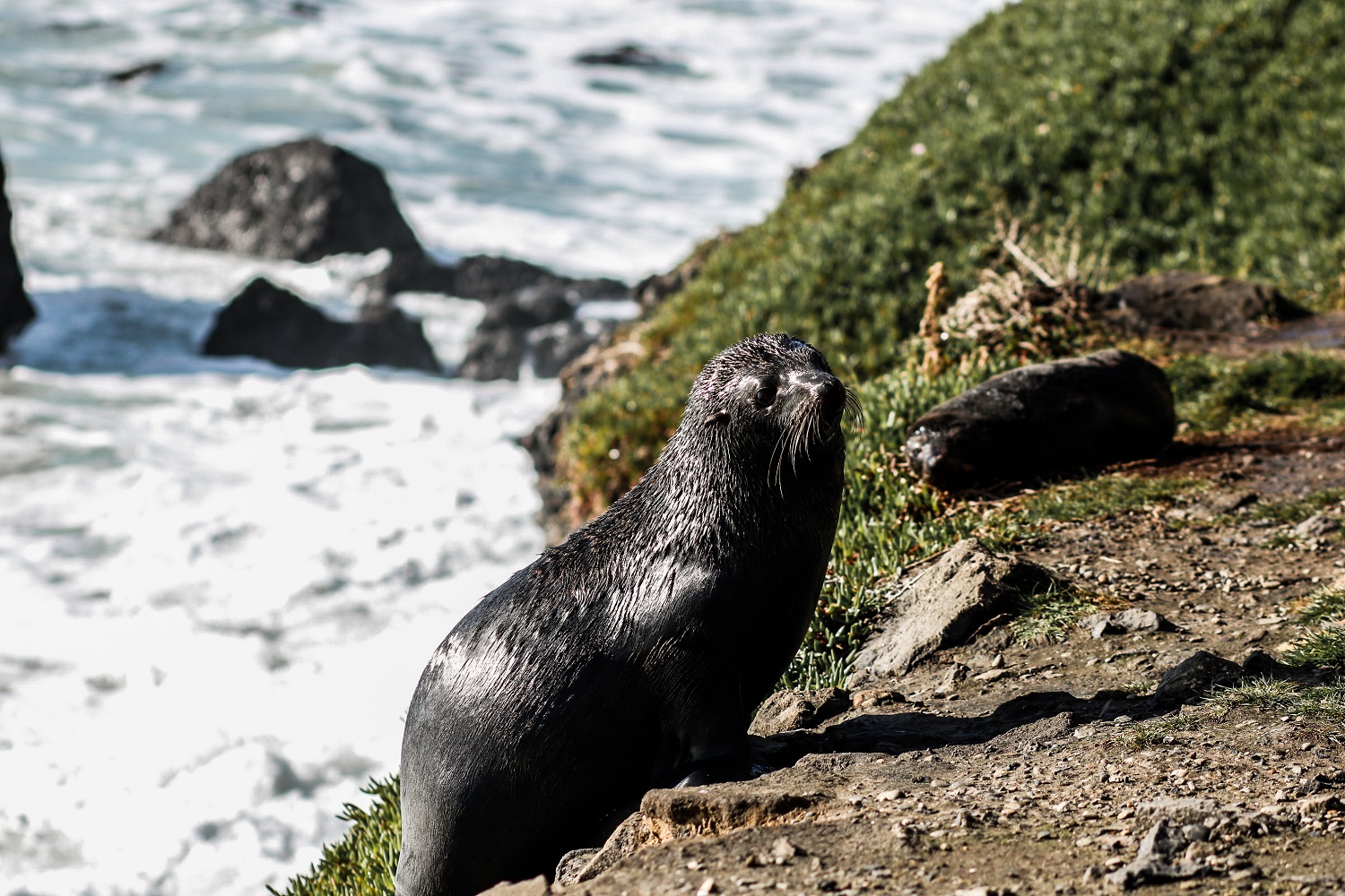 Oceania's first UNESCO Global Geopark is Waitaki Whitestone Geopark ...