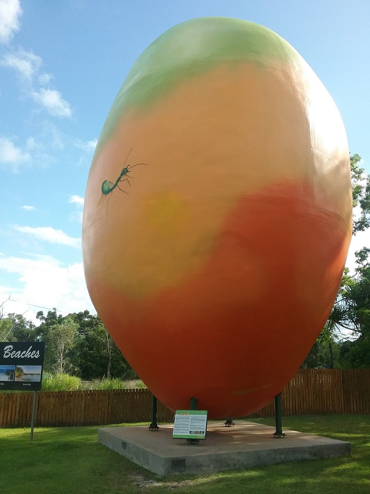 Big milestone for Bowen's 'Big Mango' - AccomNews