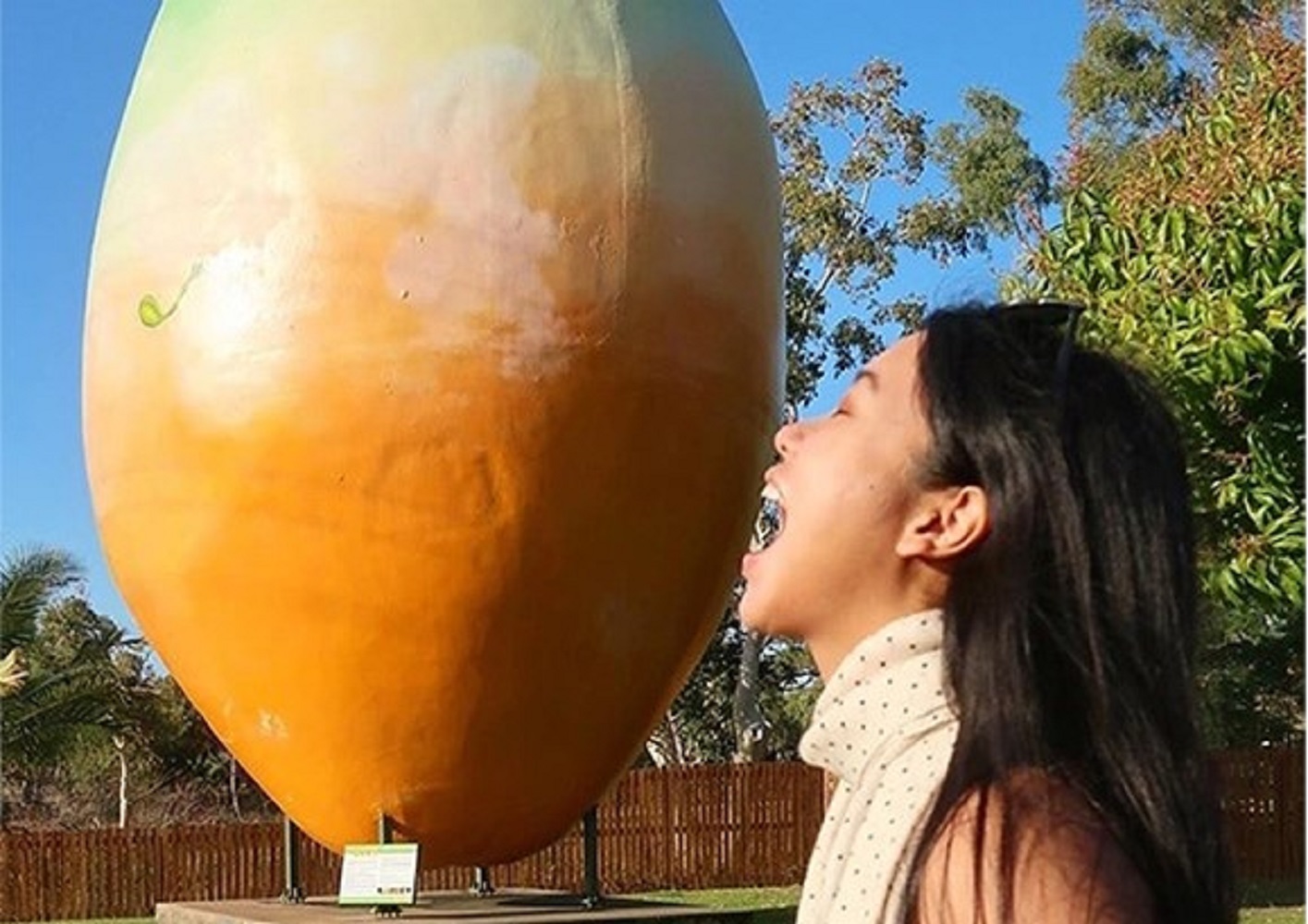 Big milestone for Bowen's 'Big Mango' - AccomNews