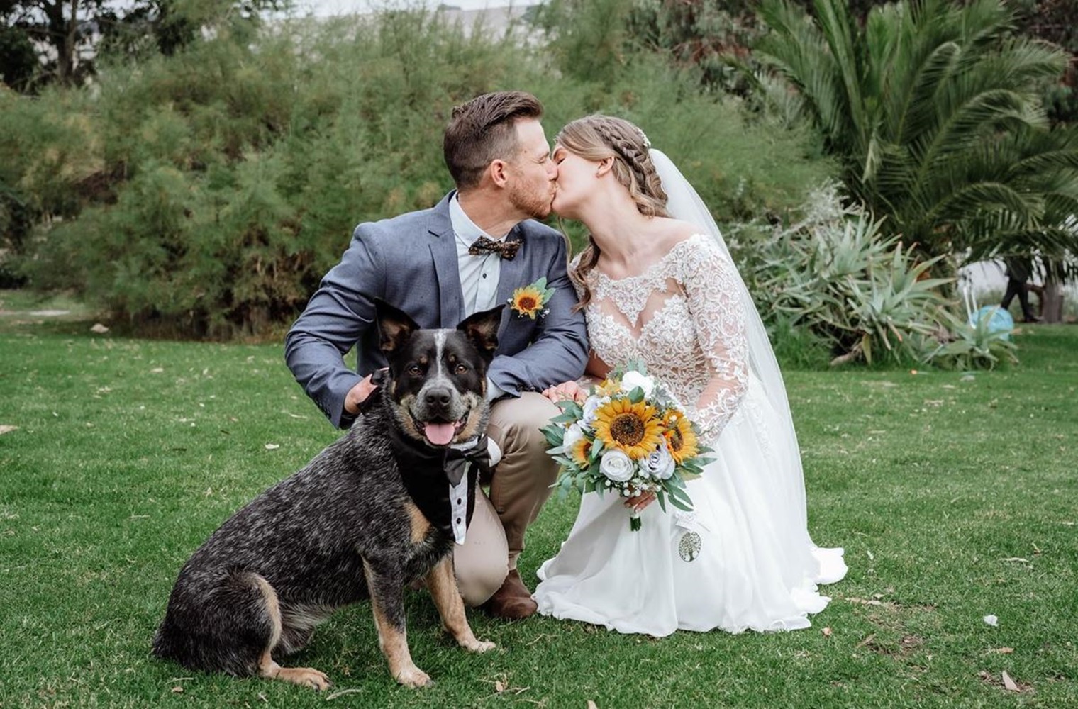 Catering to the wedding guest: Insights for accommodation operators ...