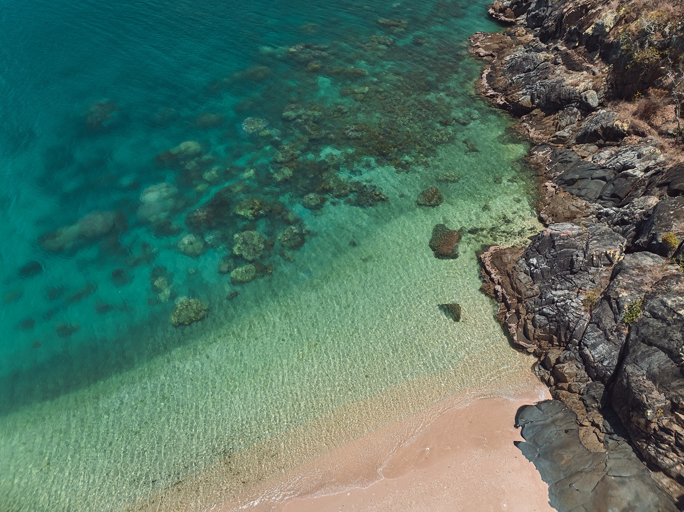 Glimpse into the exclusive world of Pelorus Private Island - AccomNews