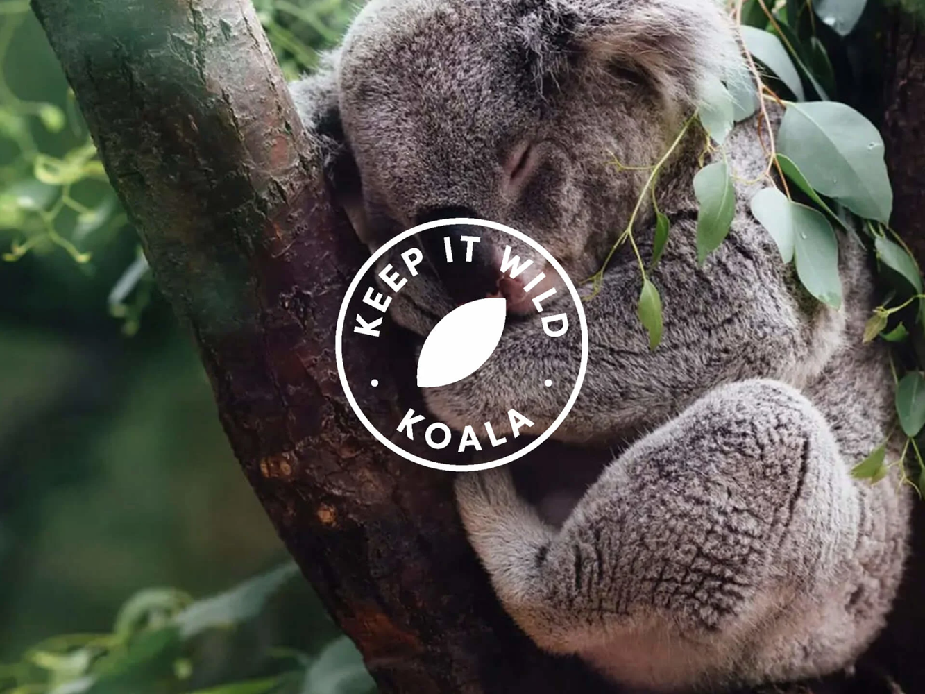 How Koala's mattress technology innovations are unlocking better sleep ...