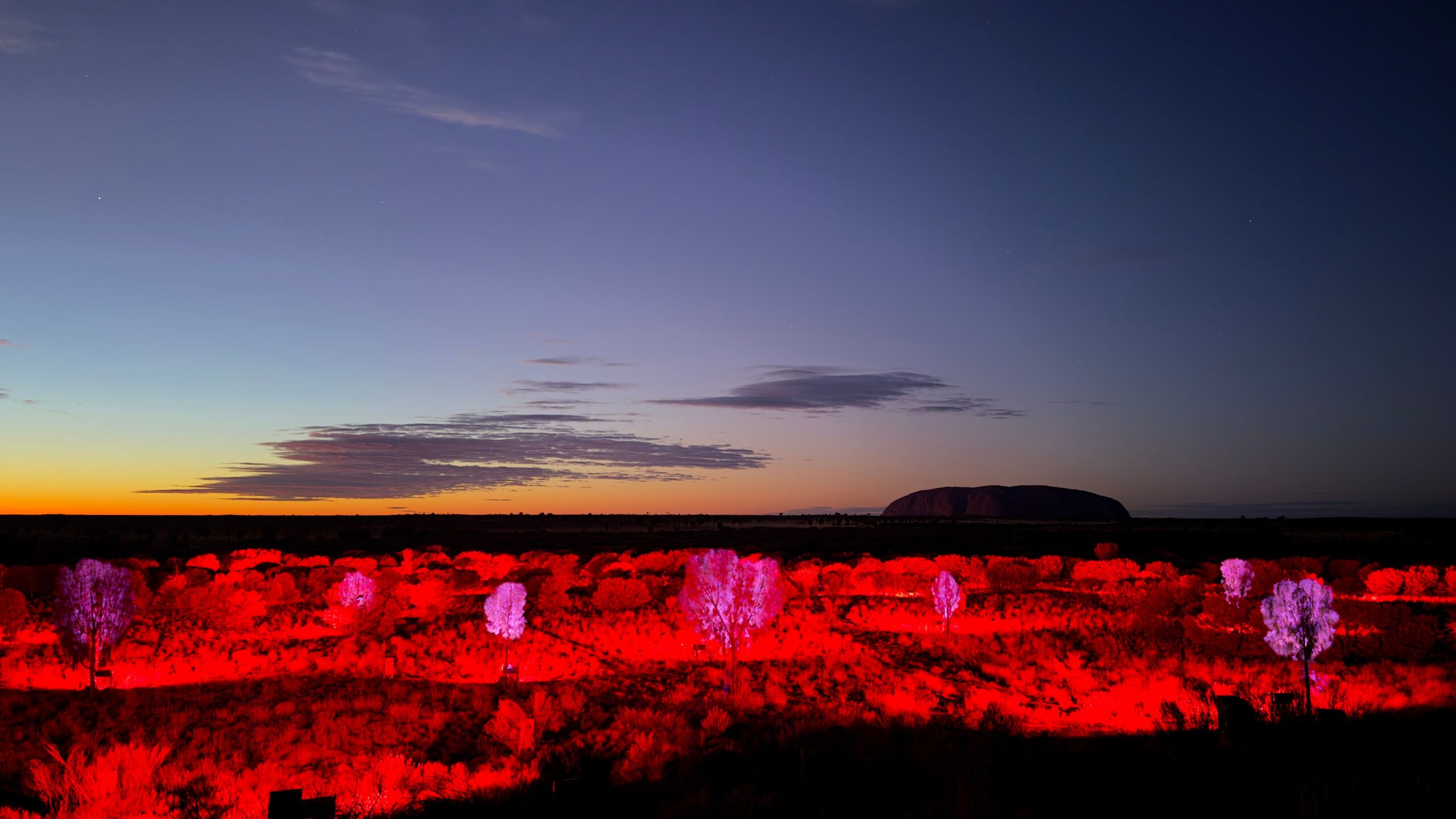 Sunrise Journeys: All-new immersive Indigenous experience premieres at ...