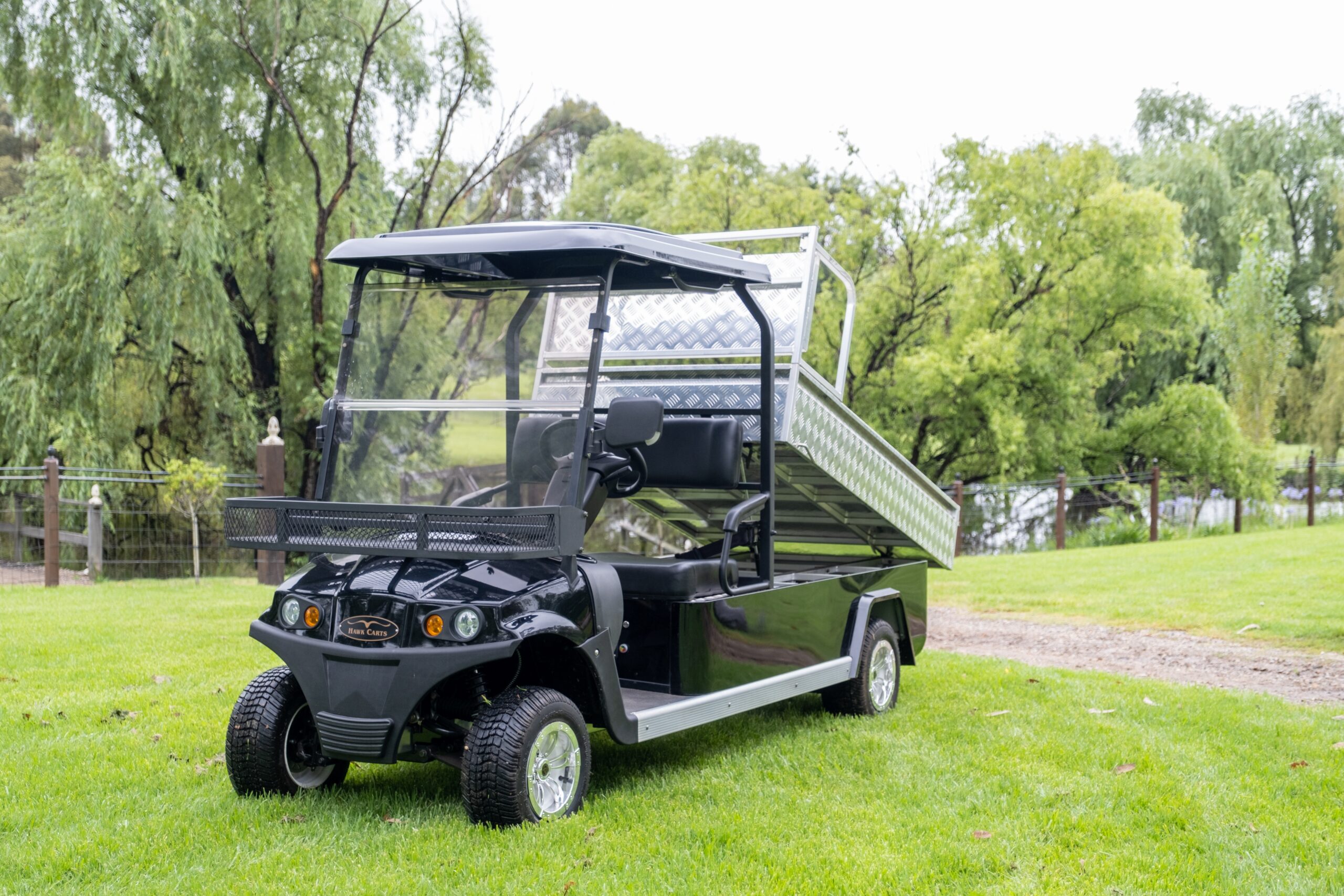 Electric revolution as carts ride high - AccomNews